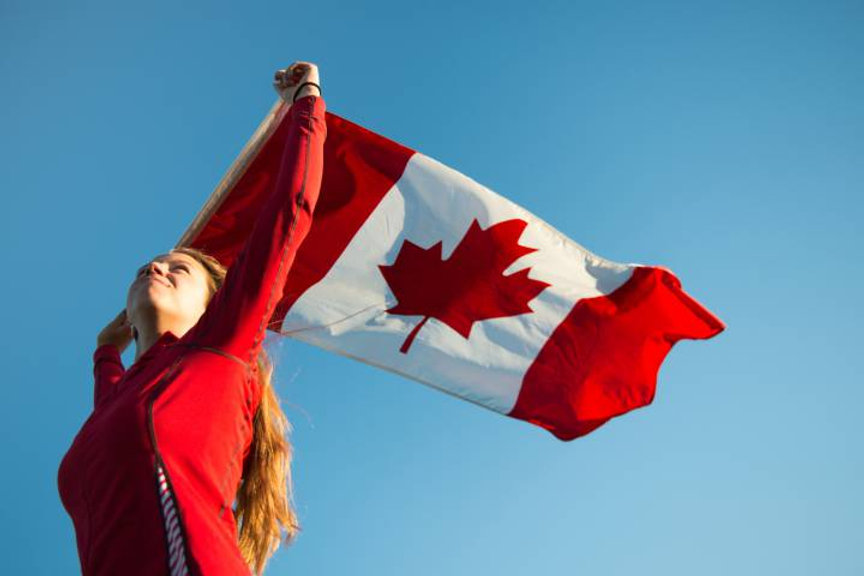 A Comprehensive Guide to Understanding Immigration Visas and Green Cards