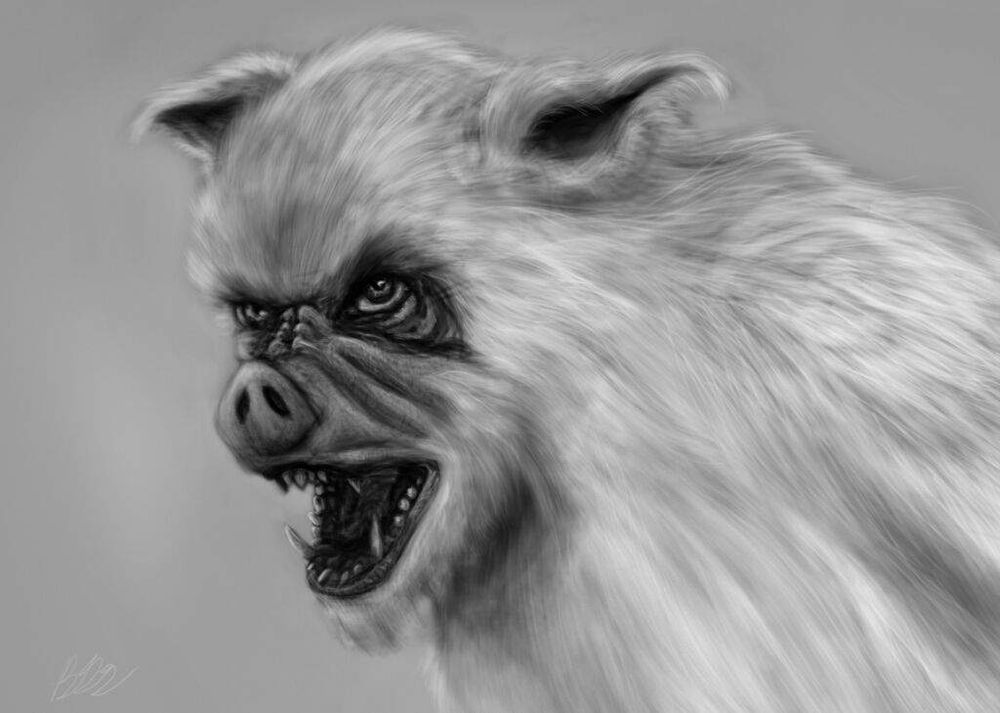 Cryptid Casefile: The Northfield Pigman