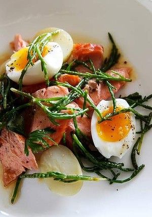 20 Australian Bush Tucker Recipes