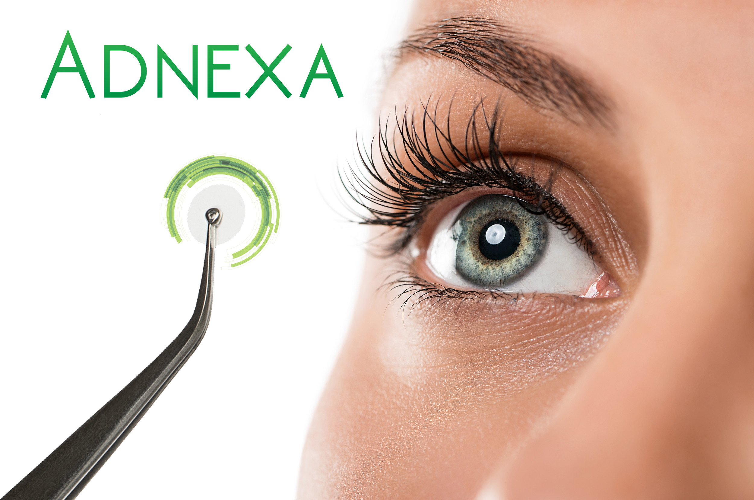 Adnexa | Ocular Amnion Membranes