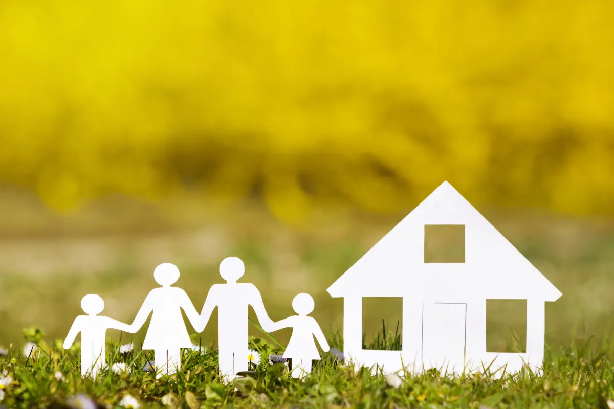 Vaughan Pest Control | Bugs Heat Terminator