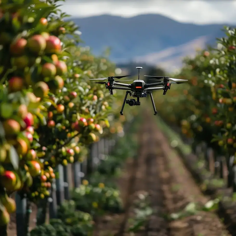 AI Technology Solutions | Avant