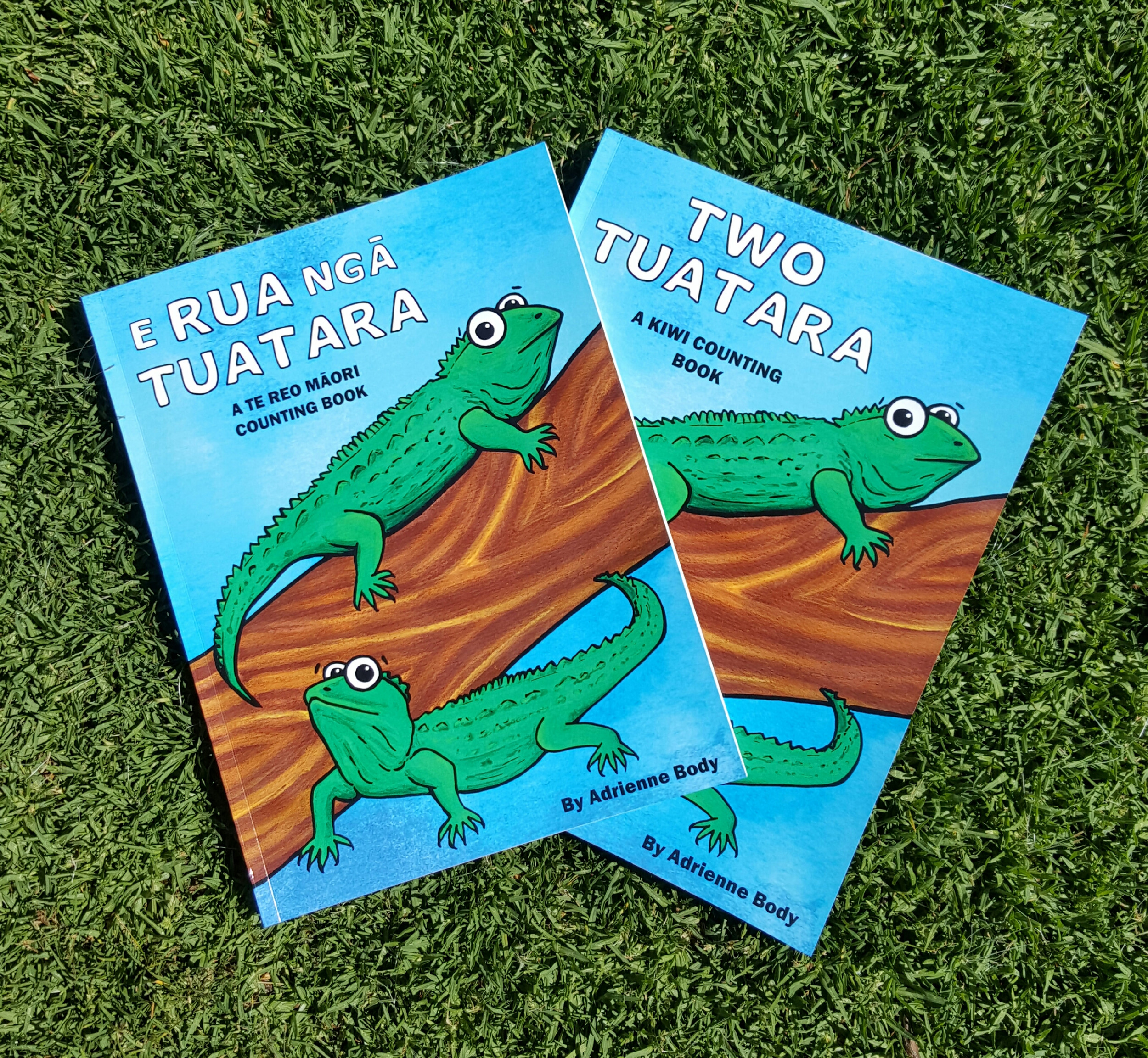 E Rua Nga Tuatara | Te Reo Maori Counting Book by Adrienne Body