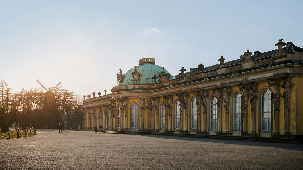 Tree Frog Trends: Residential Painting Gold Coast