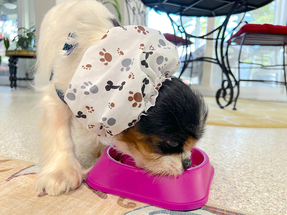 Bet your dog's food is on this list!
