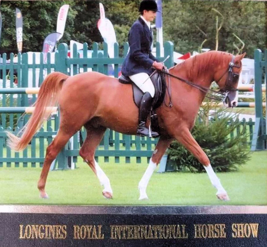 Celina Singh Equestrian | Riding Instructor