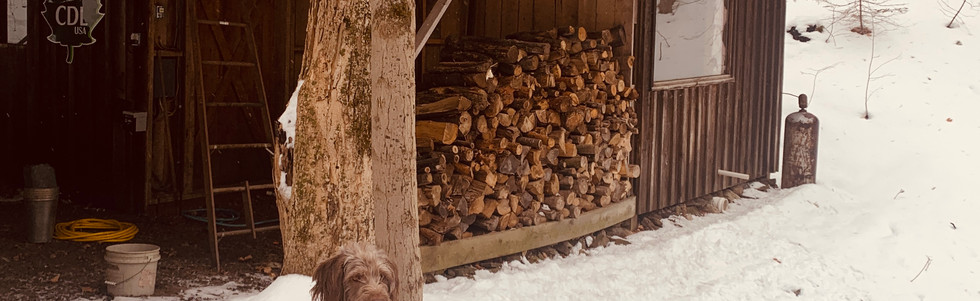 Home | Ithaca Maple Works