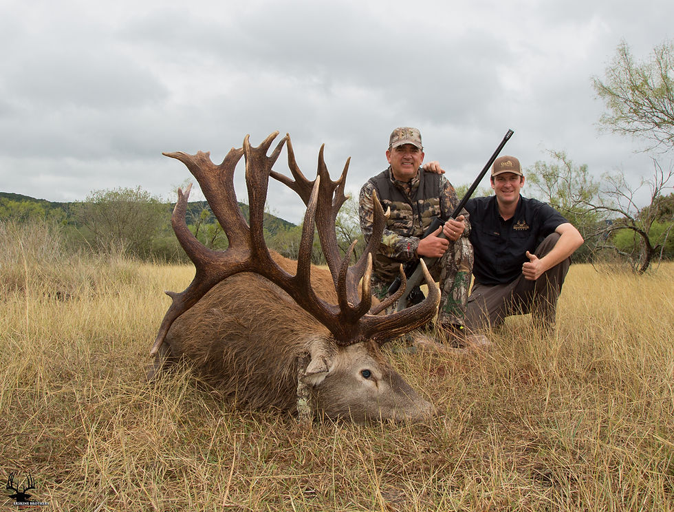 RED STAG | erskinebrothers