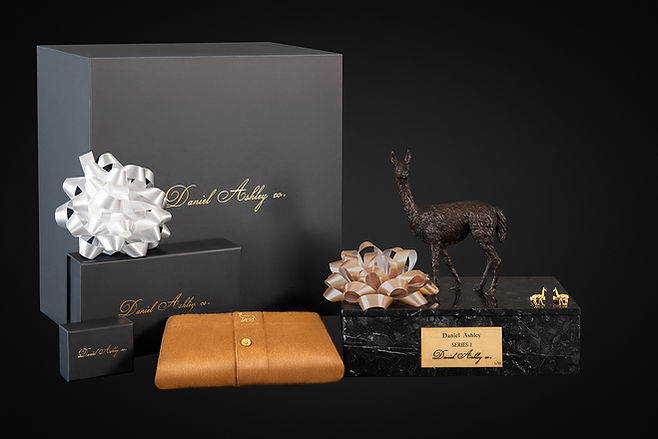 Luxury Beyond Measure With Daniel Ashley Co.