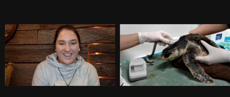 Allie Colleen Takes Fans On Exclusive Virtual Tour Of Sea Turtle ...