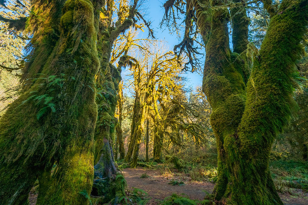 11 Best Spring Hikes in Washington State
