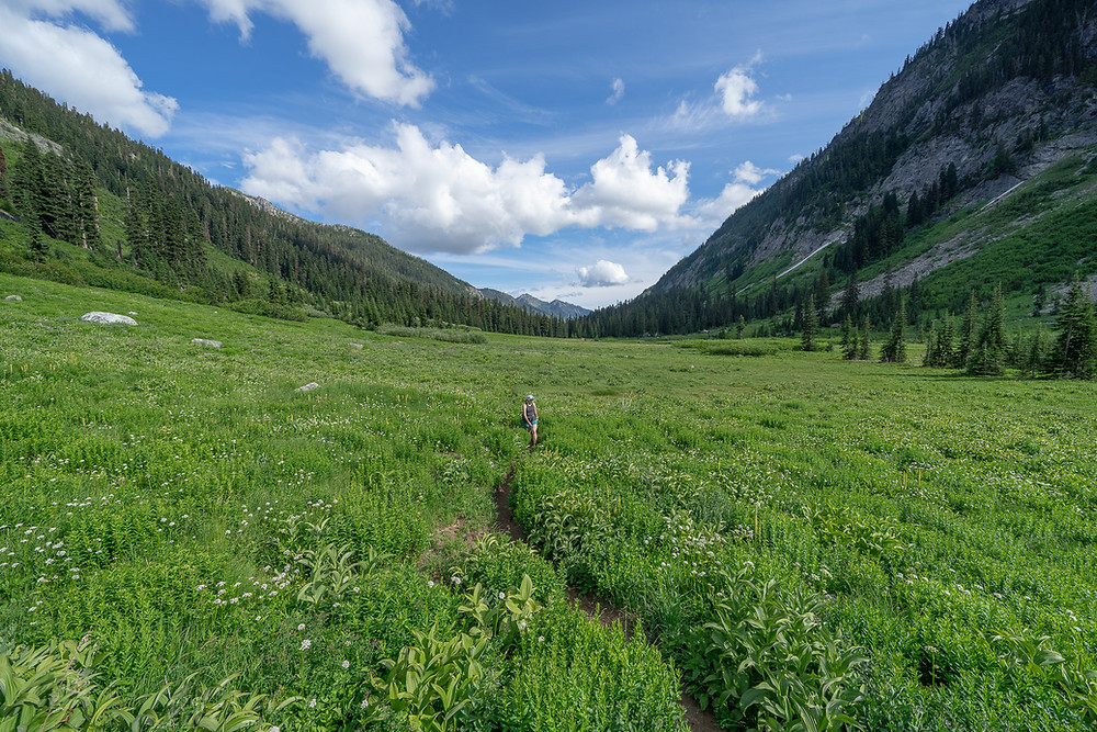 Backpacking Guide: Spider Meadows and Phelps Basin