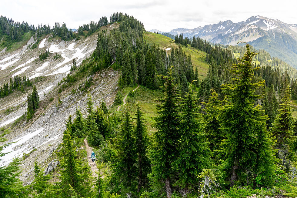 Backpacking Guide: the Seven Lakes Basin and high divide TRAIL