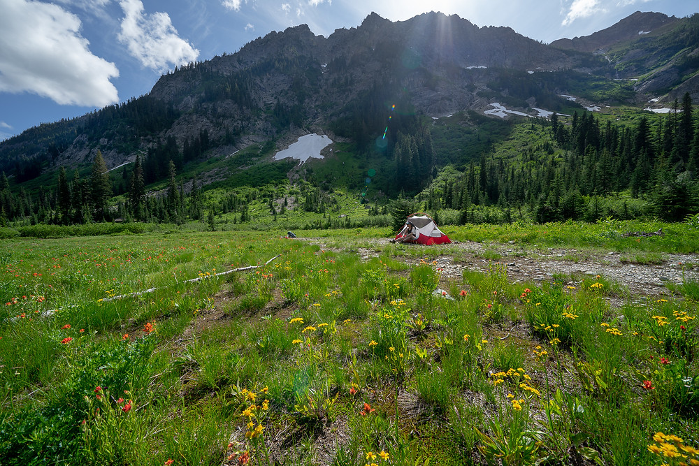 Backpacking Guide: Spider Meadows and Phelps Basin