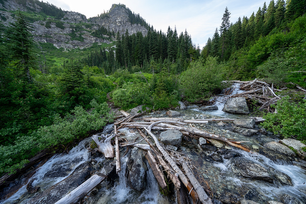 Backpacking Guide: Spider Meadows and Phelps Basin