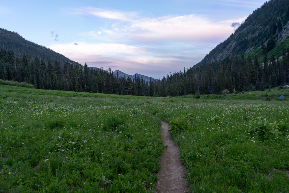 Backpacking Guide: Spider Meadows and Phelps Basin