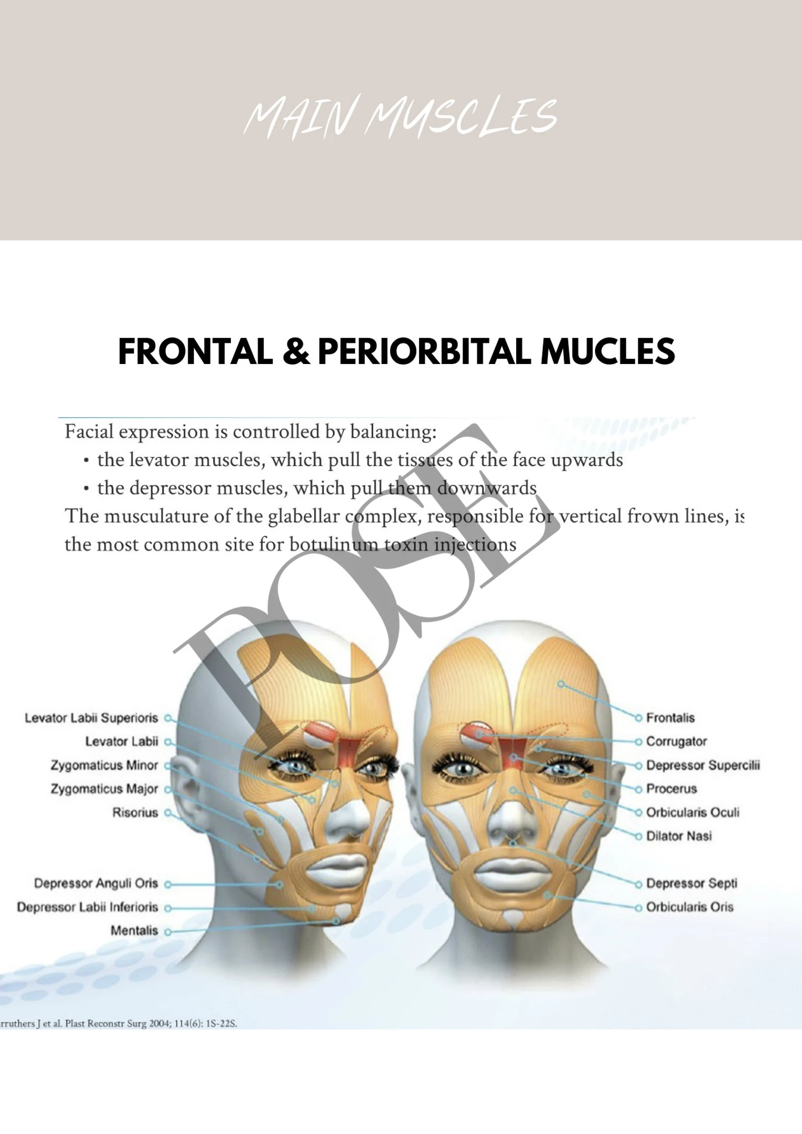 Foundation Filler and Botox Manual | Pose Aesthetics