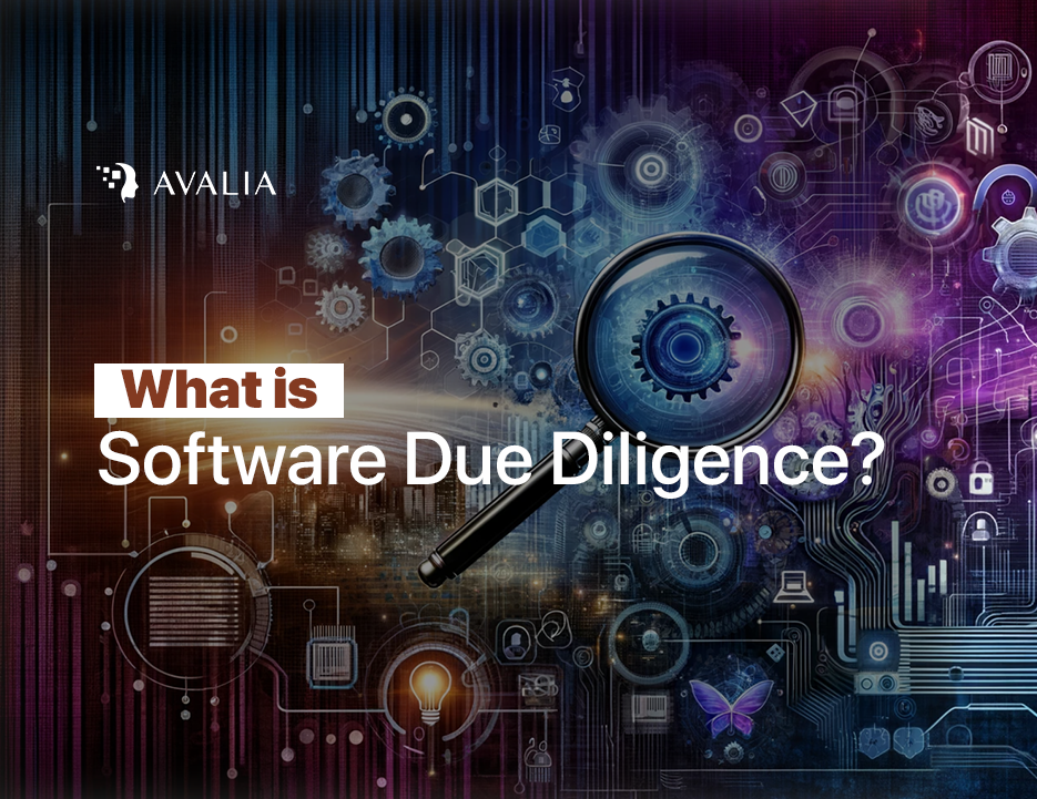 What is Software Due Diligence?