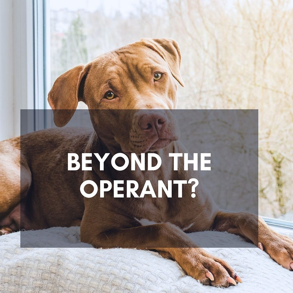 Beyond the Operant: What We Mean