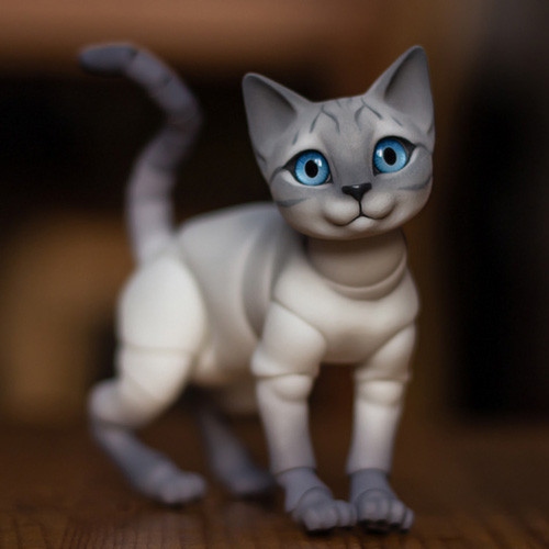 BJD Female Domestic Cat | Eve Studio Dolls