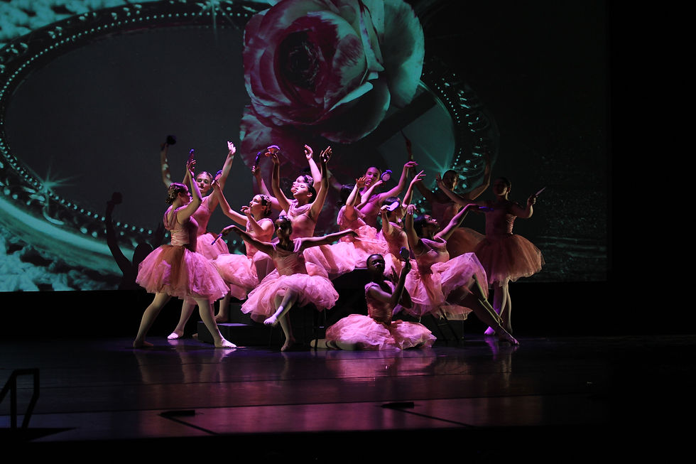 Plans & Pricing | Dance TTA