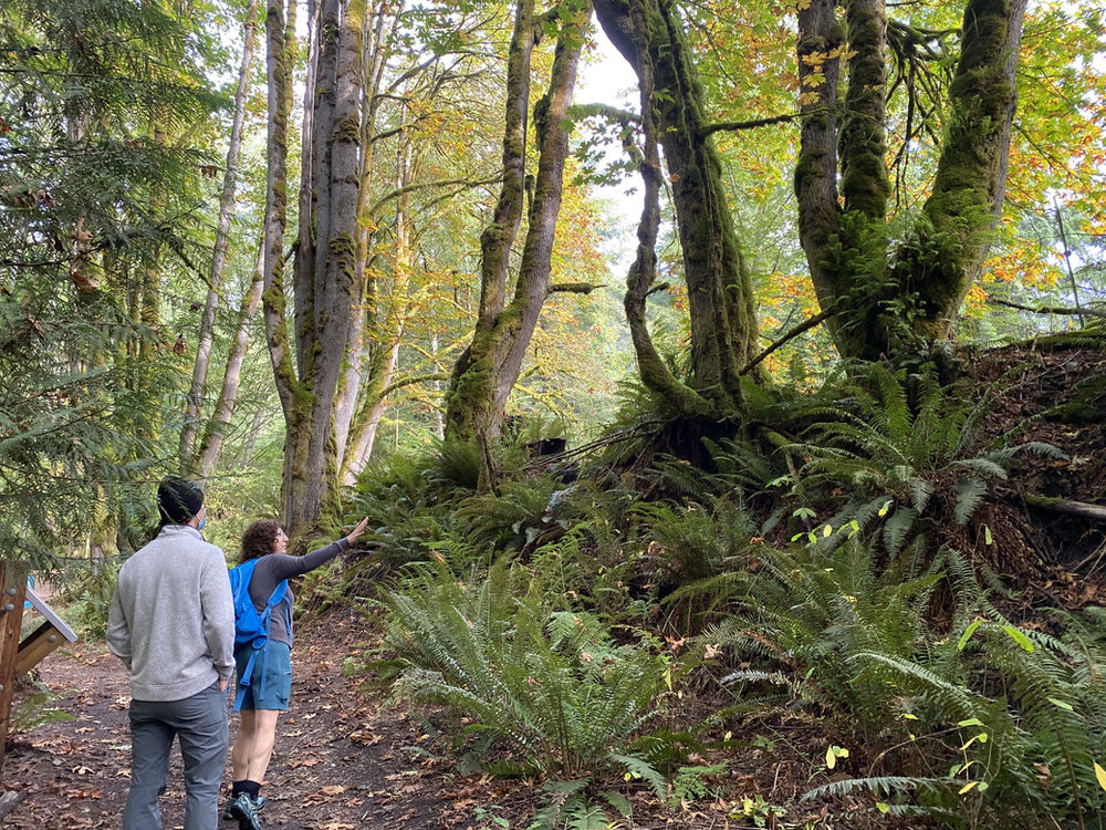 Regenerative Tourism Defined: 3 Examples of Destination Stewardship