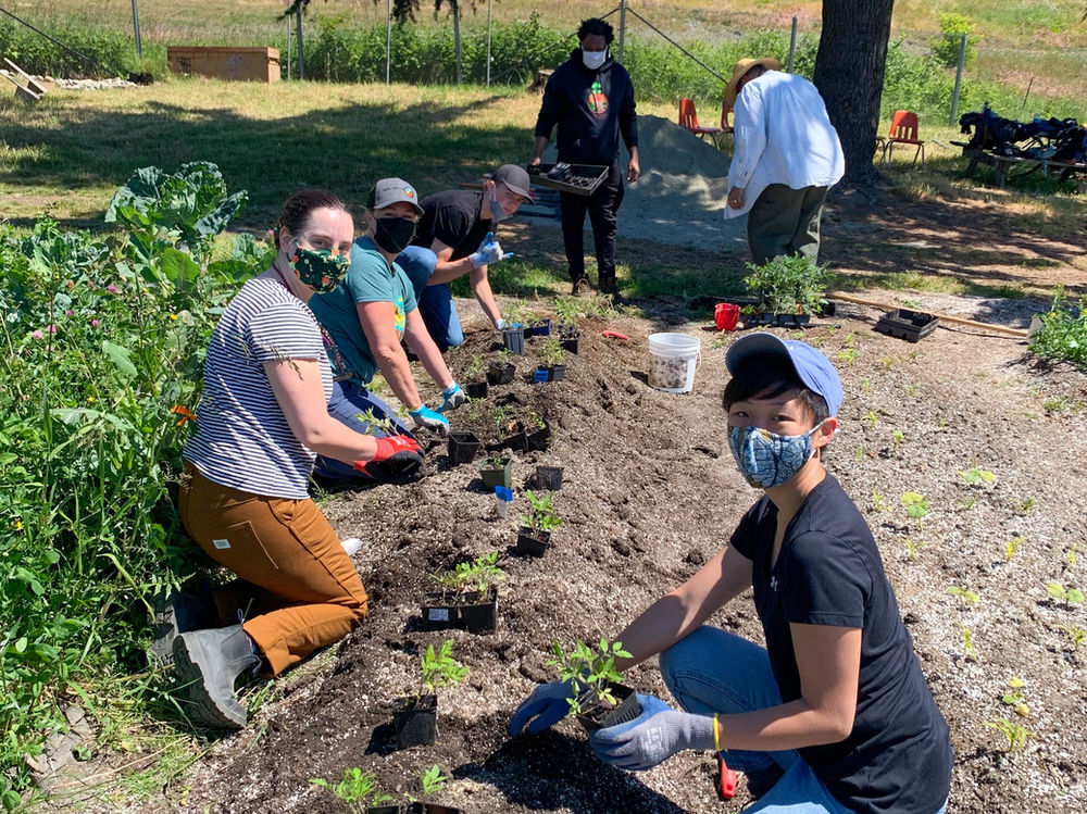 Regenerative Tourism Defined: 3 Examples of Destination Stewardship