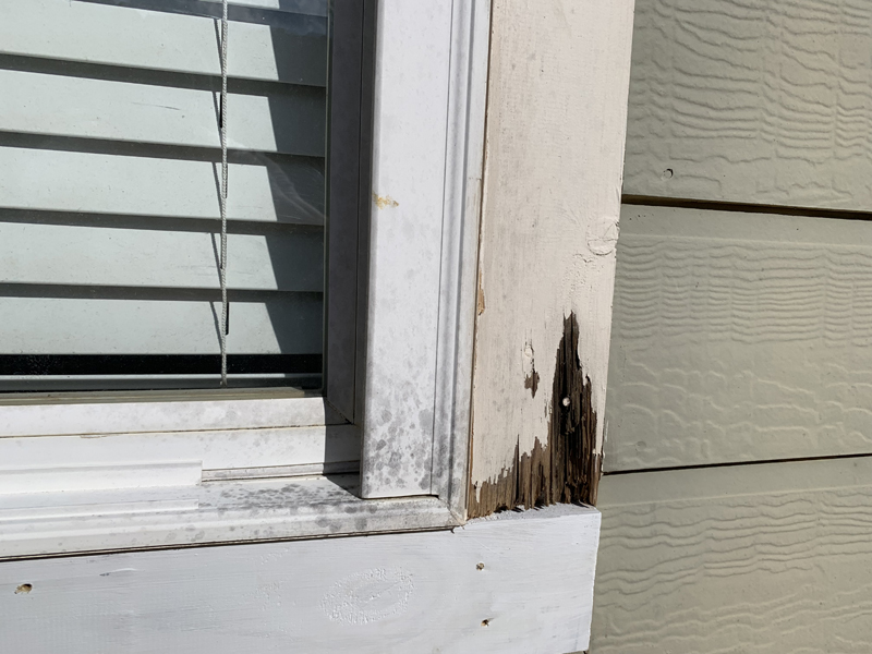 Wood Rot Repair