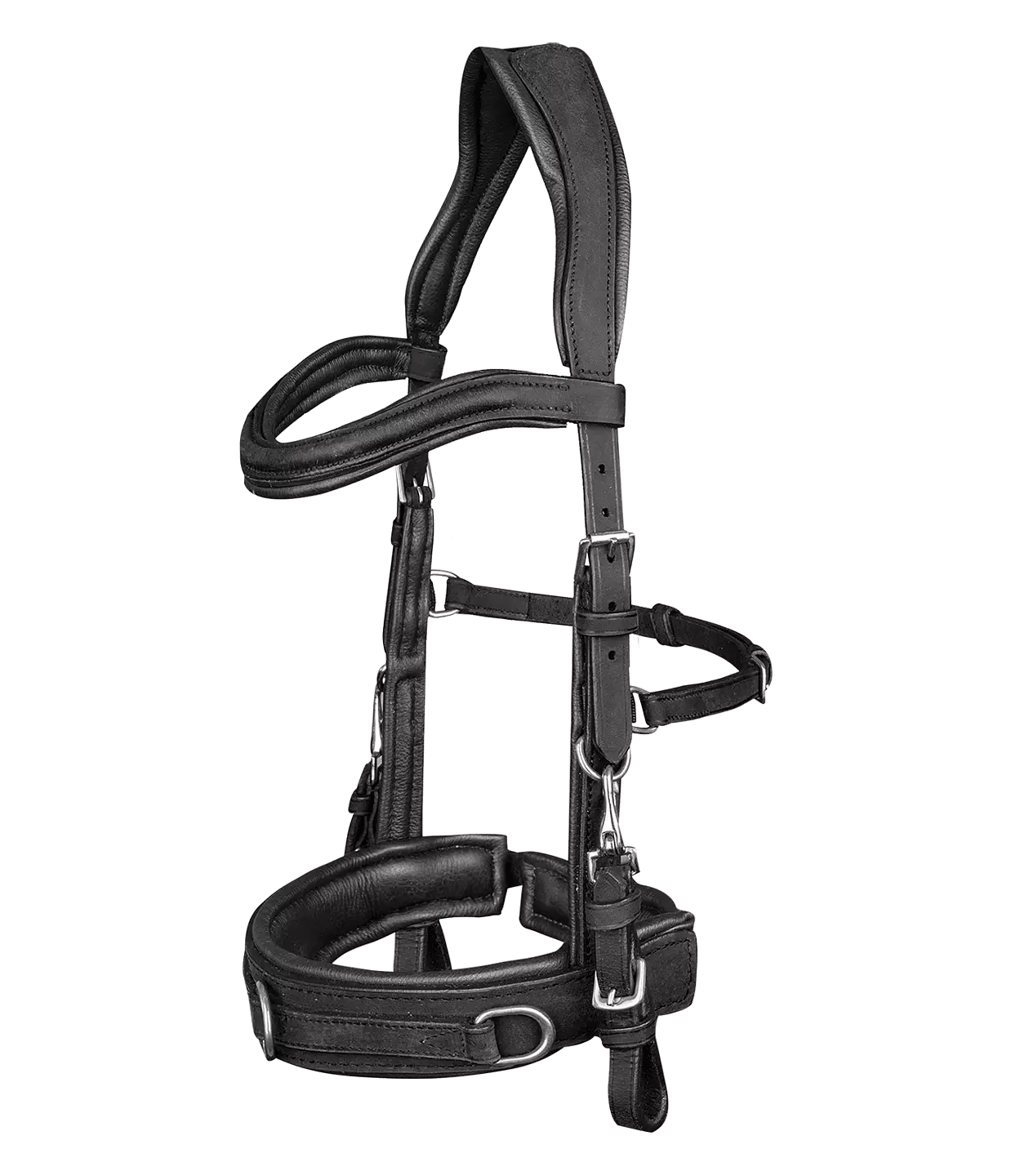 Rytter | Mule Hesteutstyr