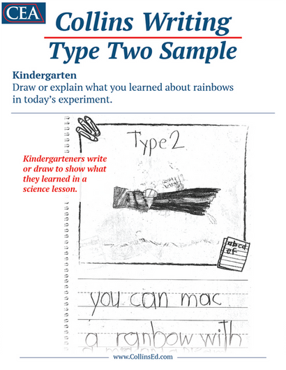 Type One and Type Two | Collins Education Associates