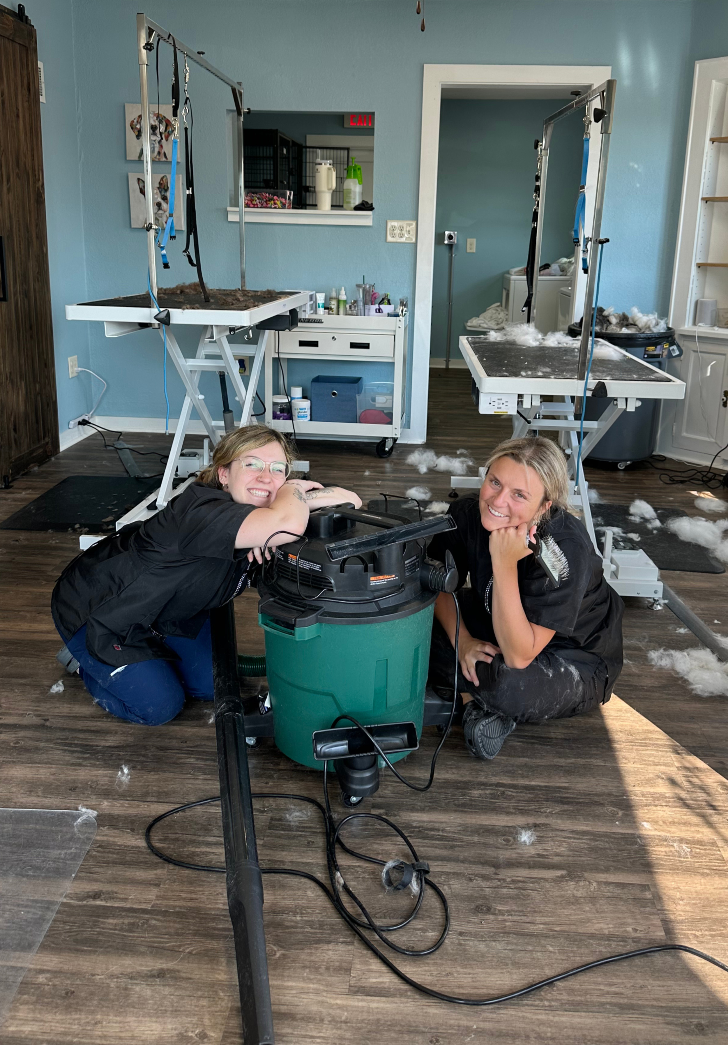 Gallery | Pampered Pup Grooming LLC