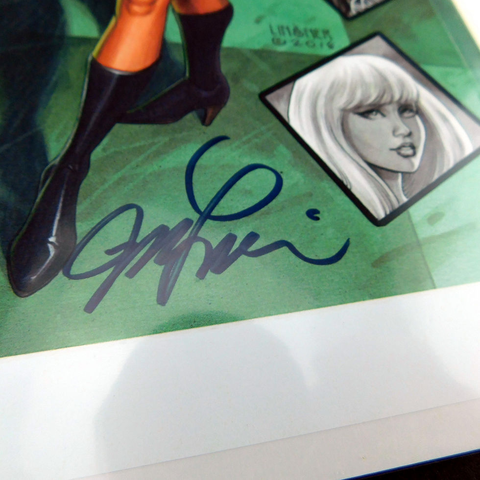 Joseph Michael Linsner Original VAMPIRELLA Art Drawing Collection Bill ...