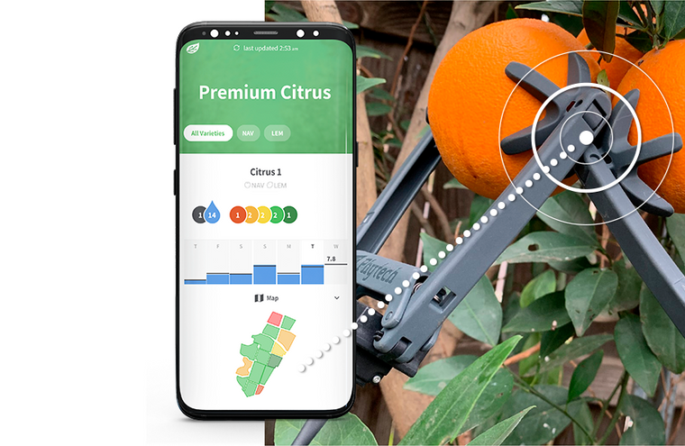 Phytech | Connecting growers to their plants