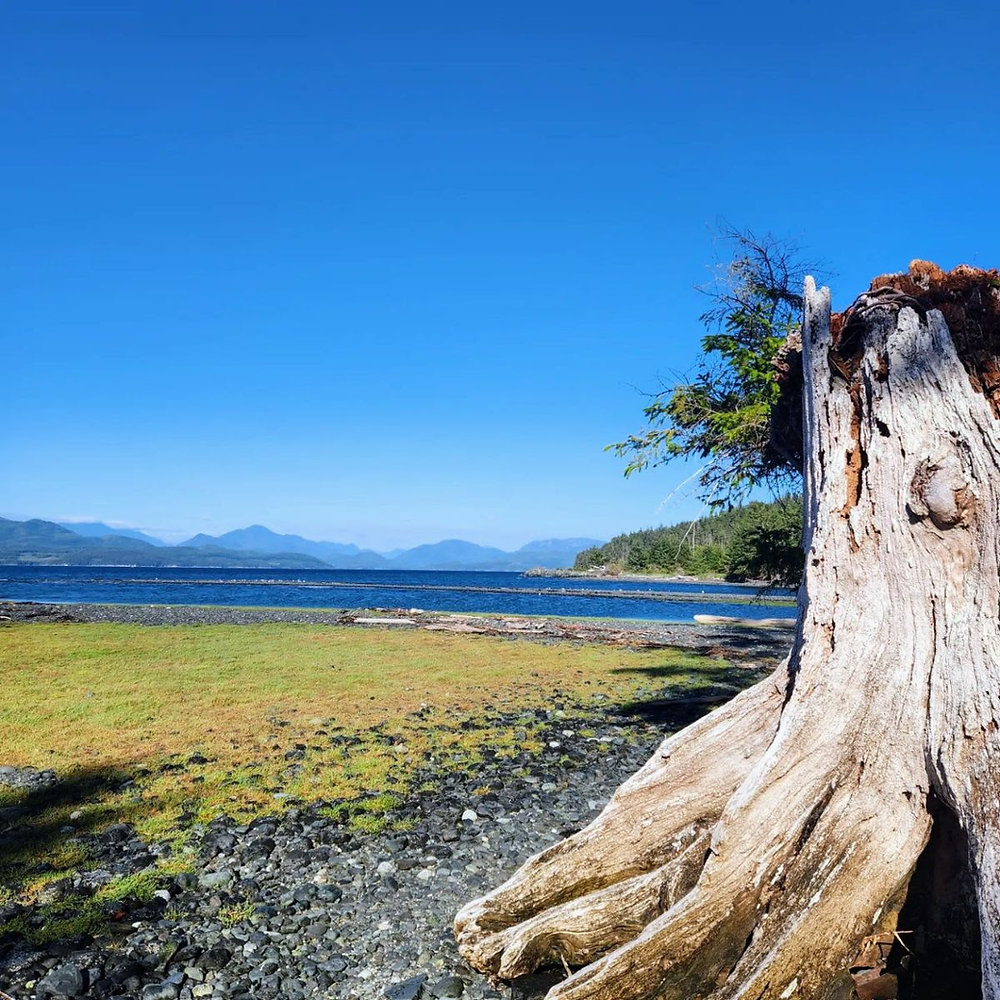 Launch of the Kwakwaka'wakw Revitalization Project: A Resurgence of ...
