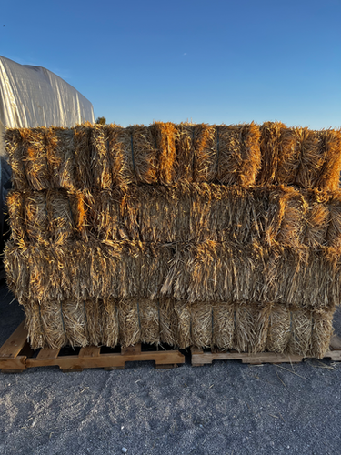Straw Hay Bale (Three-String) | Las Vegas Horse Ranch