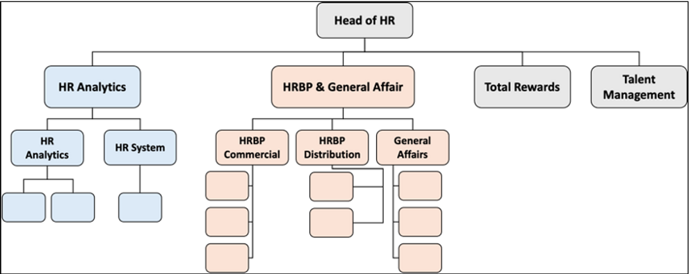 Building A Harmonize Structure for HR Analytics Function
