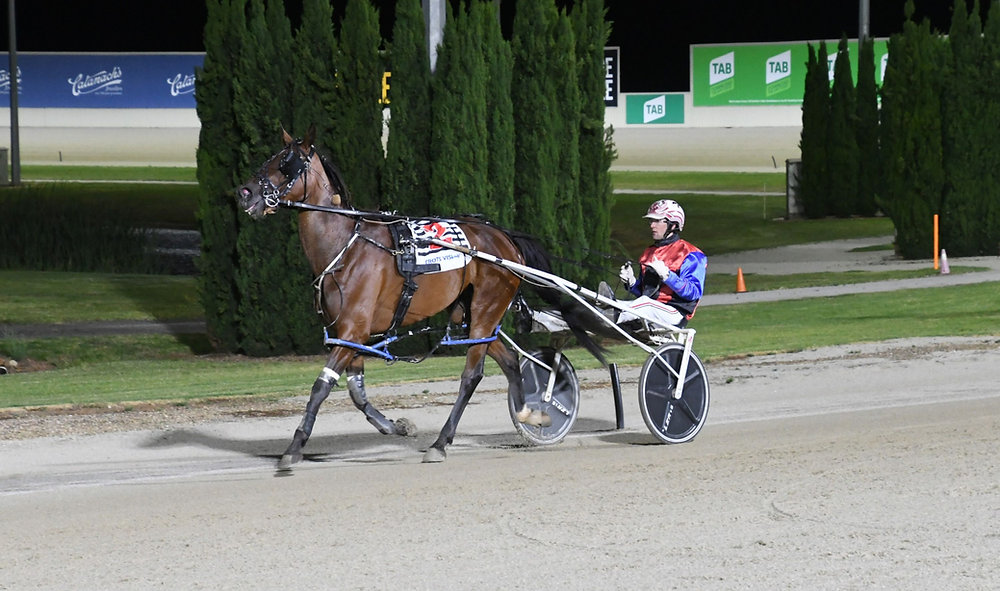 Hanna's journey from Olympian to harness racing success