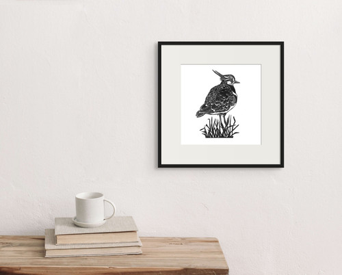 Lapwing Hand Coloured Original Print | deborahvass