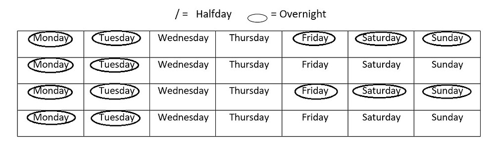 Parenting Time Schedule Options parenting-time-schedule-options