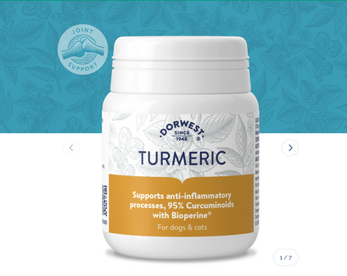 Dorwest Turmeric Tablets For Dogs And Cats | Pawsonal Health