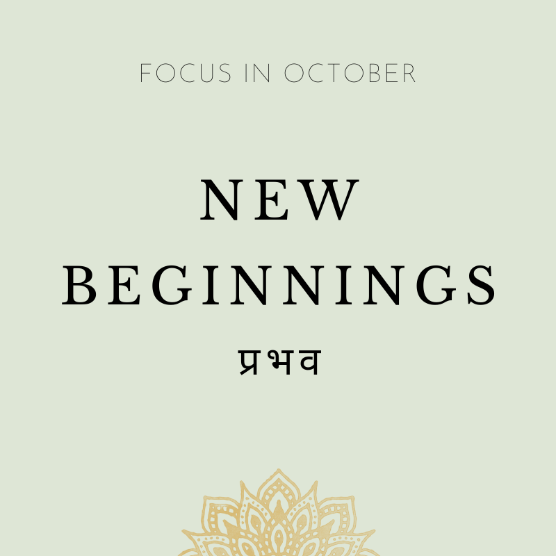 Focus of the Month - October