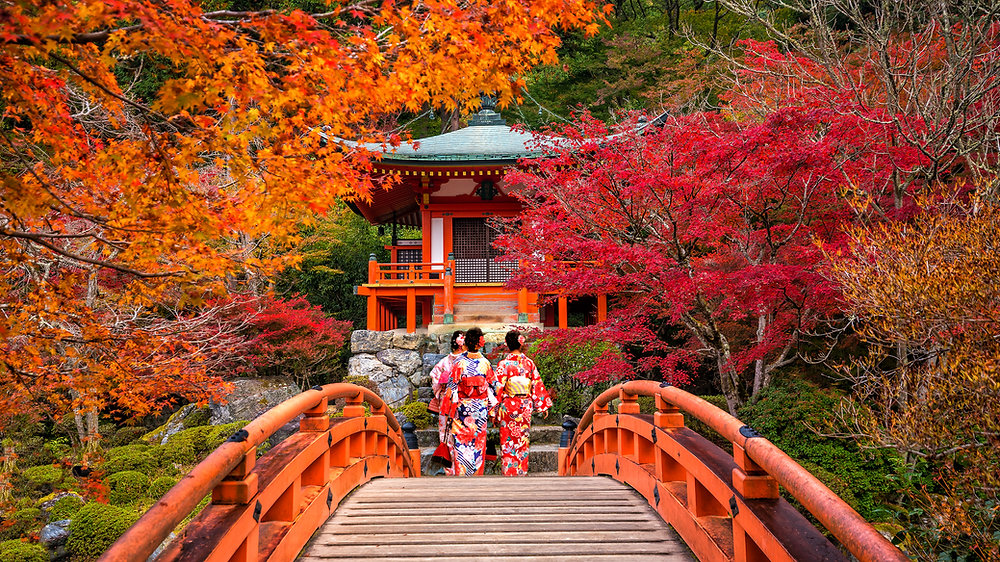 Autumn in Japan: A Feast for the Senses