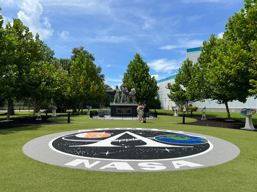 American Sycamore Moon Tree Platanus occidentalis 20 Seeds