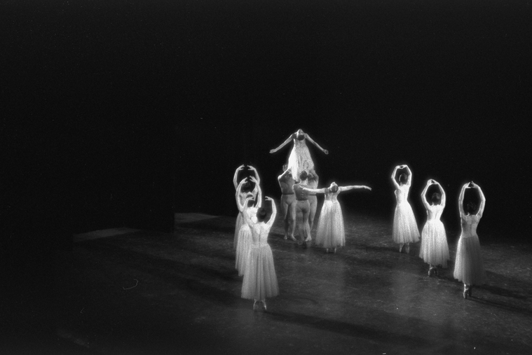 Serenade 90th Anniversary No. 7