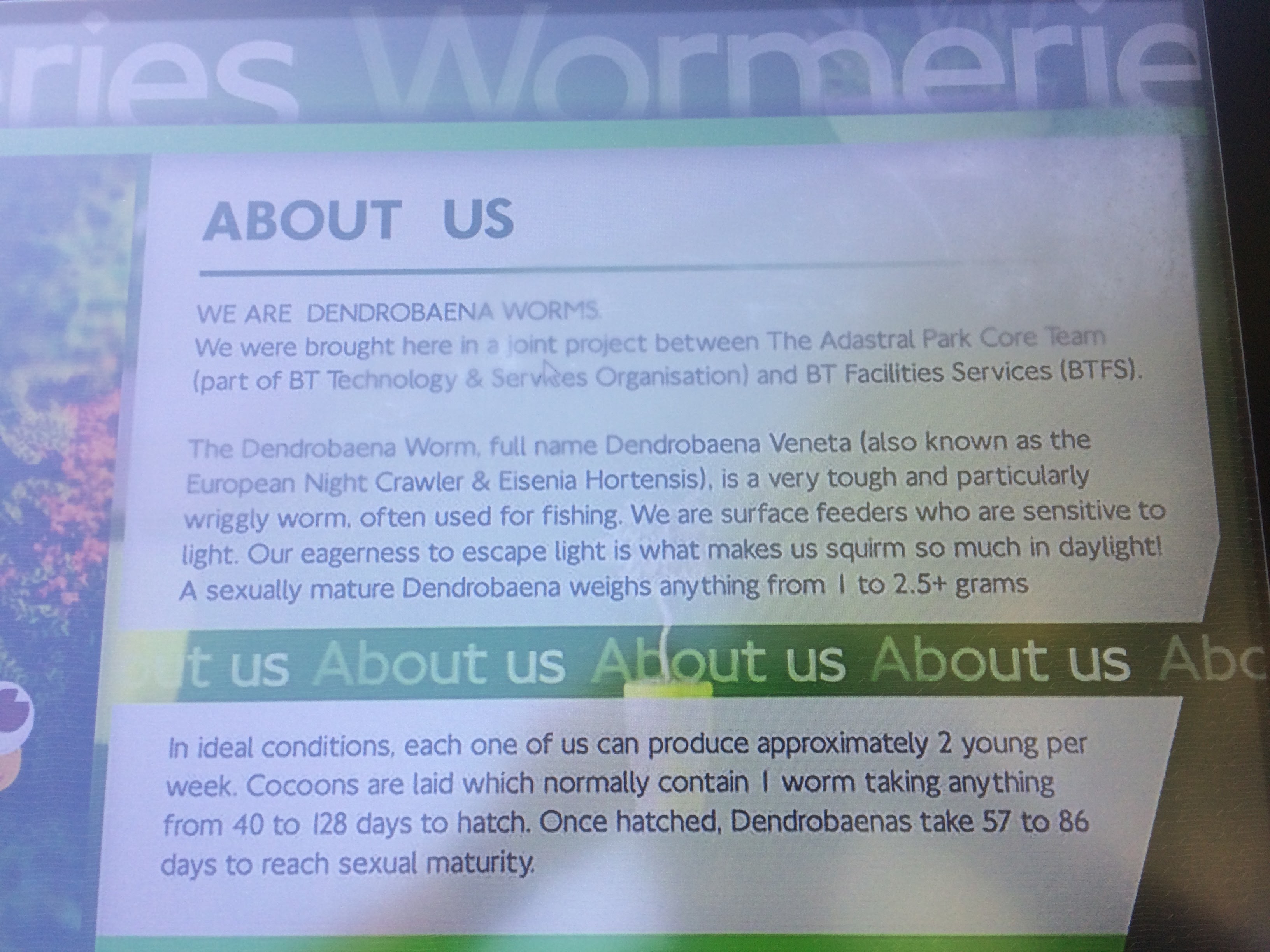 Worms at Work UK Commercial Wormeries for onsite food waste processing
