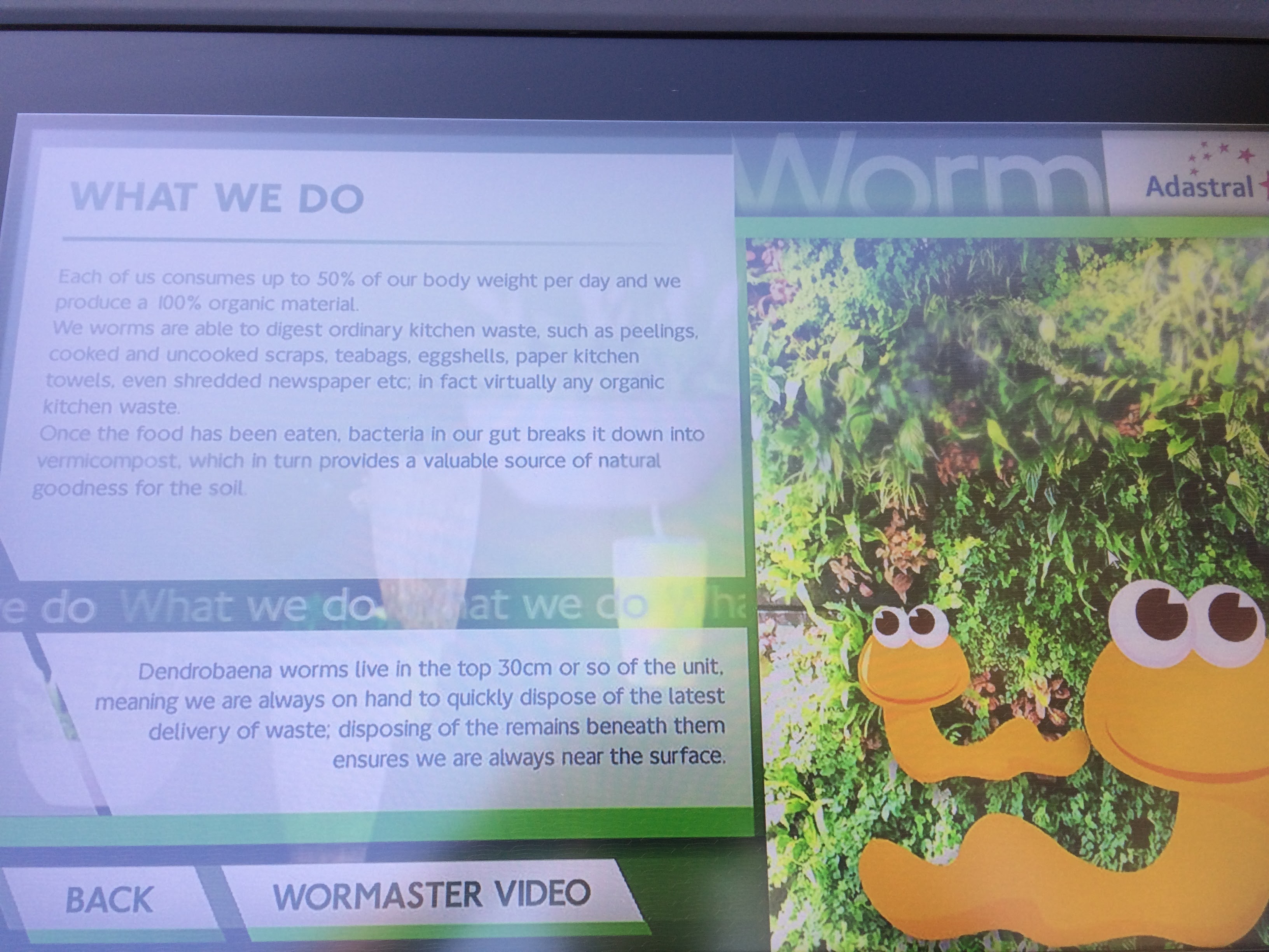 Worms at Work UK Commercial Wormeries for onsite food waste processing