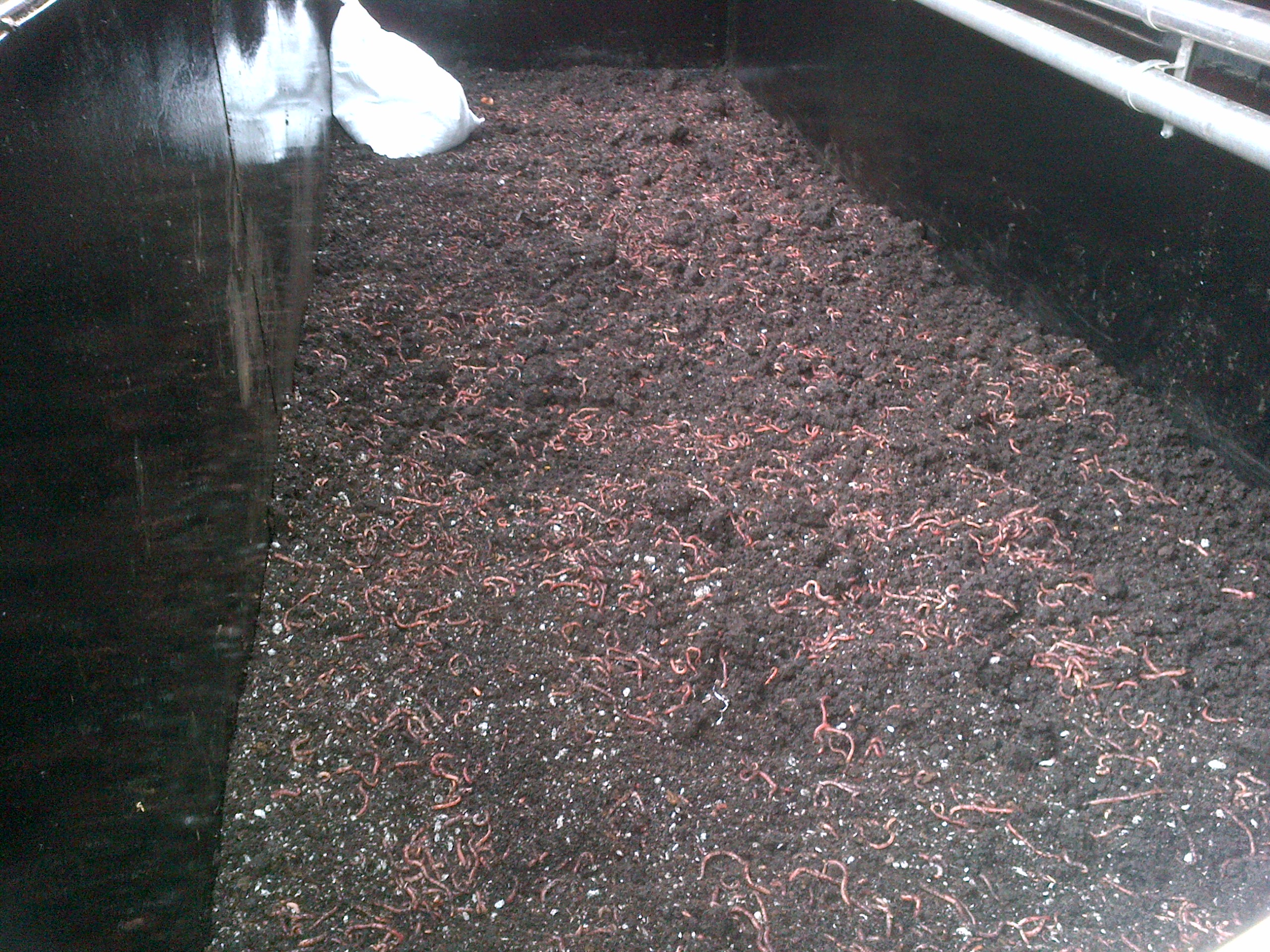 Worms at Work UK Commercial Wormeries for onsite food waste processing