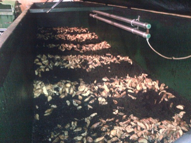Worms at Work UK Commercial Wormeries for onsite food waste processing