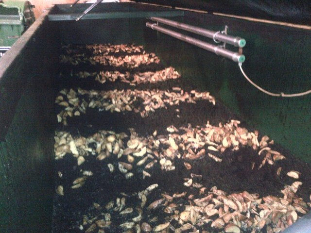 Worms At Work | wormsatwork