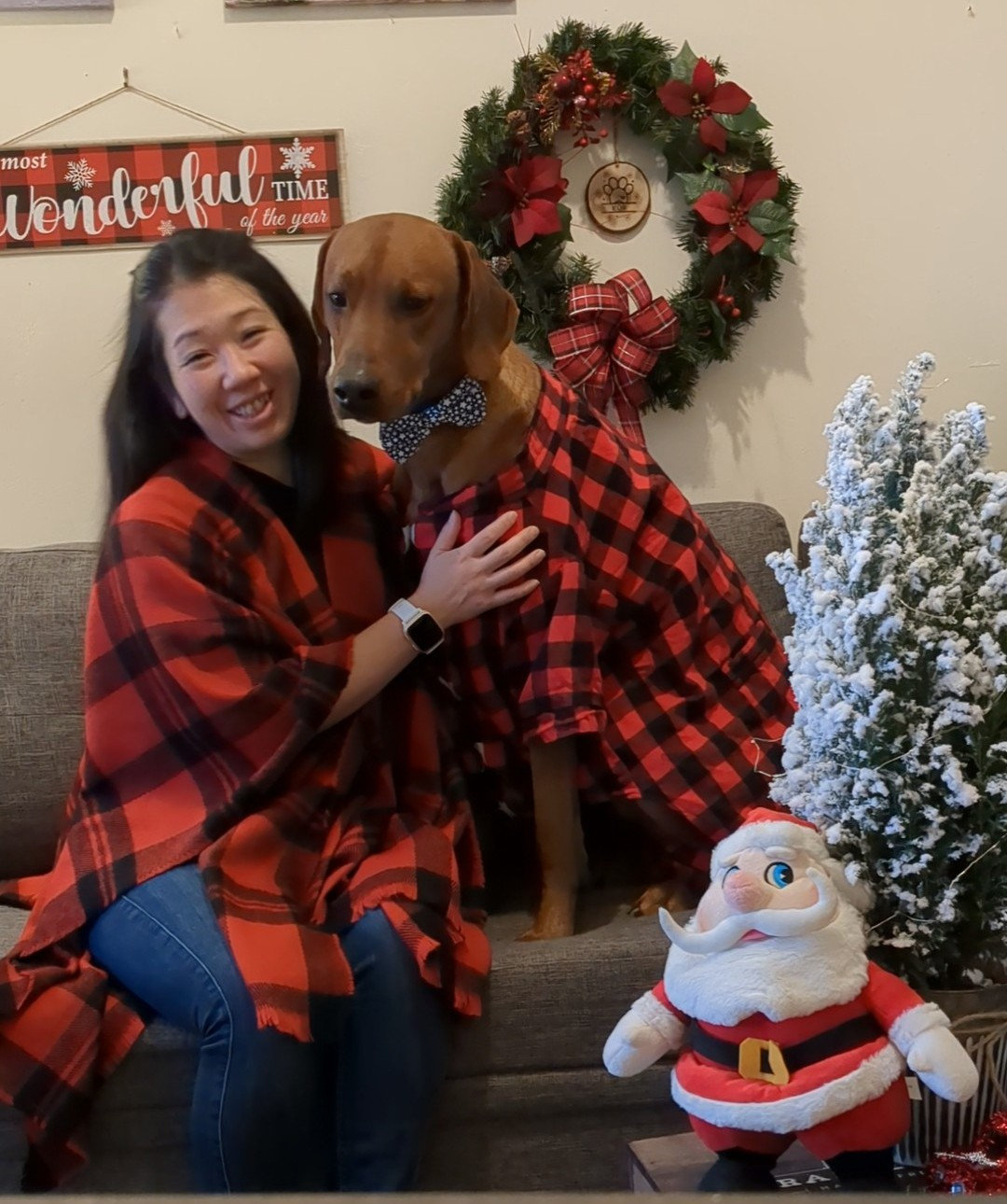 The Alchemy of Christmas: Where Neuroscience Meets Wonder, and ...